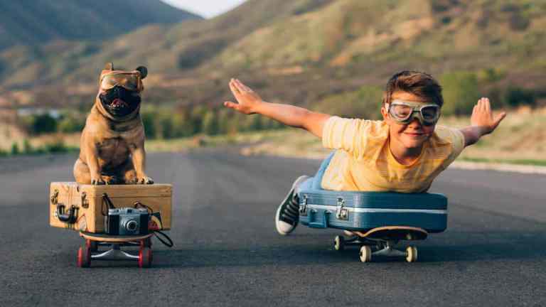 What to Pack When Travelling With a Dog | FluffPost