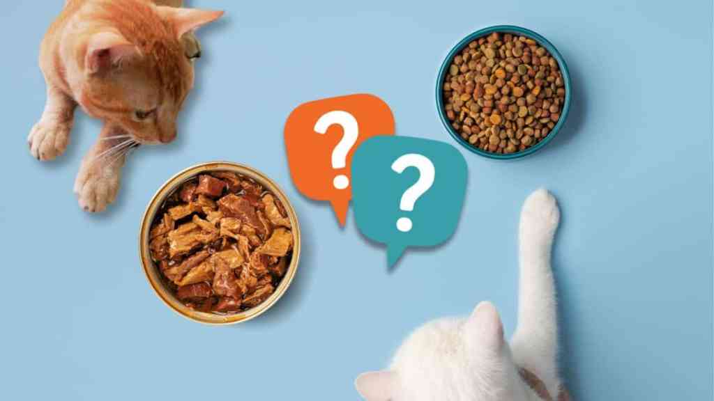 Wet vs Dry Cat Food: Which is Healthier for Your Cat? | FluffPost