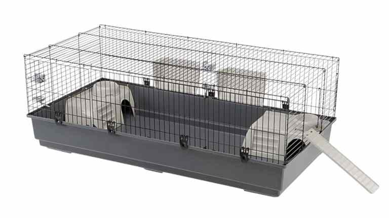 Guinea Pig Cage Set-Up Guide: What Every Owner Needs to Know | FluffPost