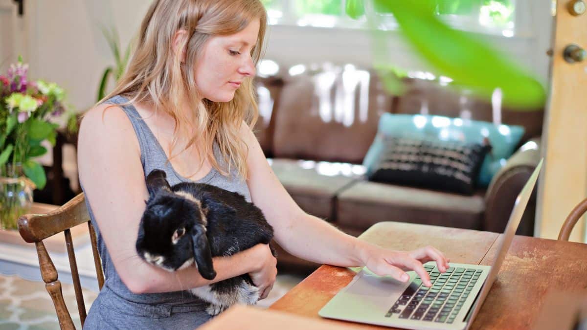 Can Rabbits Live Indoors? UK Guide to House Rabbit Care | FluffPost