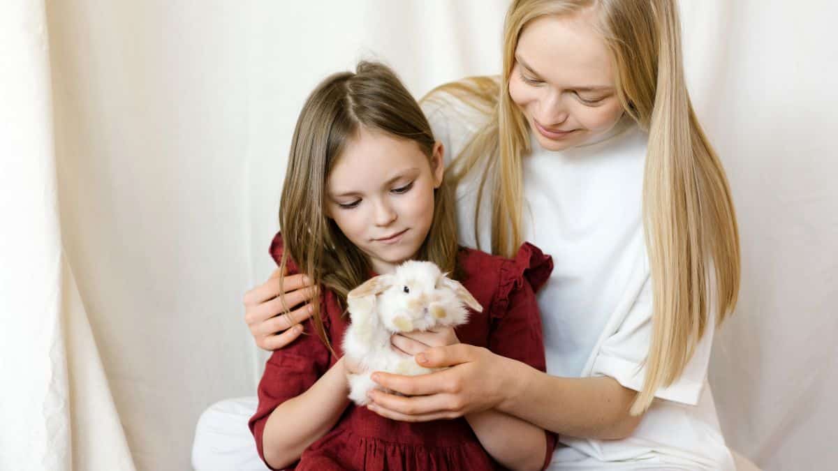 Are Rabbits Good Pets for Children? What Parents Need to Know | FluffPost